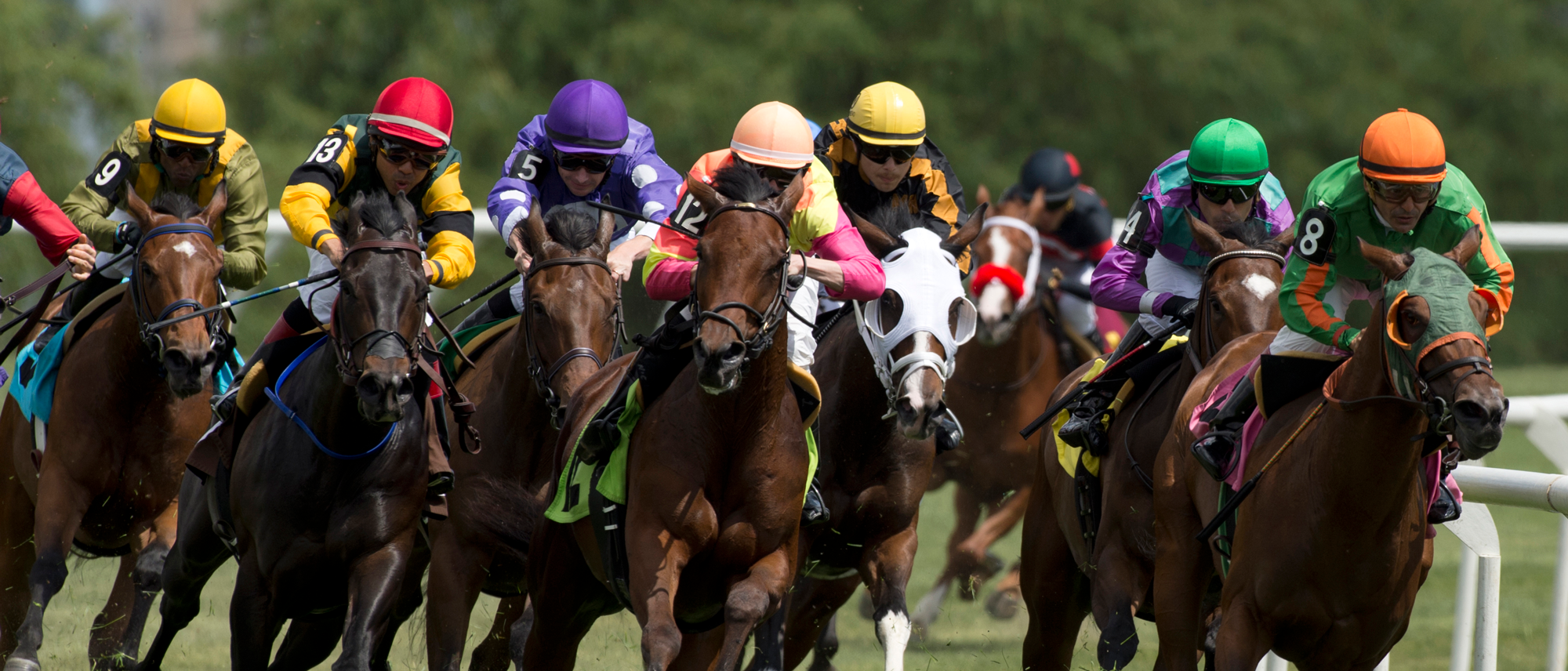 HPIbet.com - Welcome