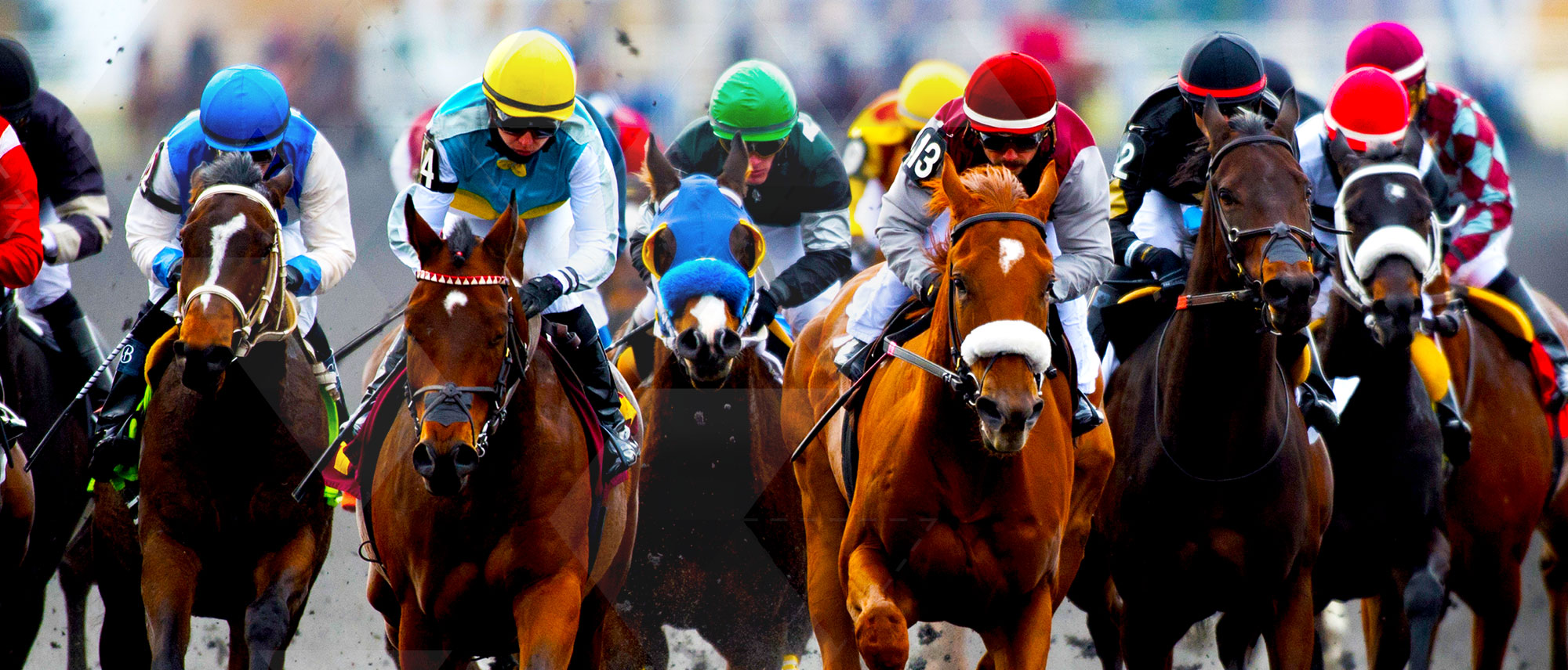 HPIbet.com - Welcome