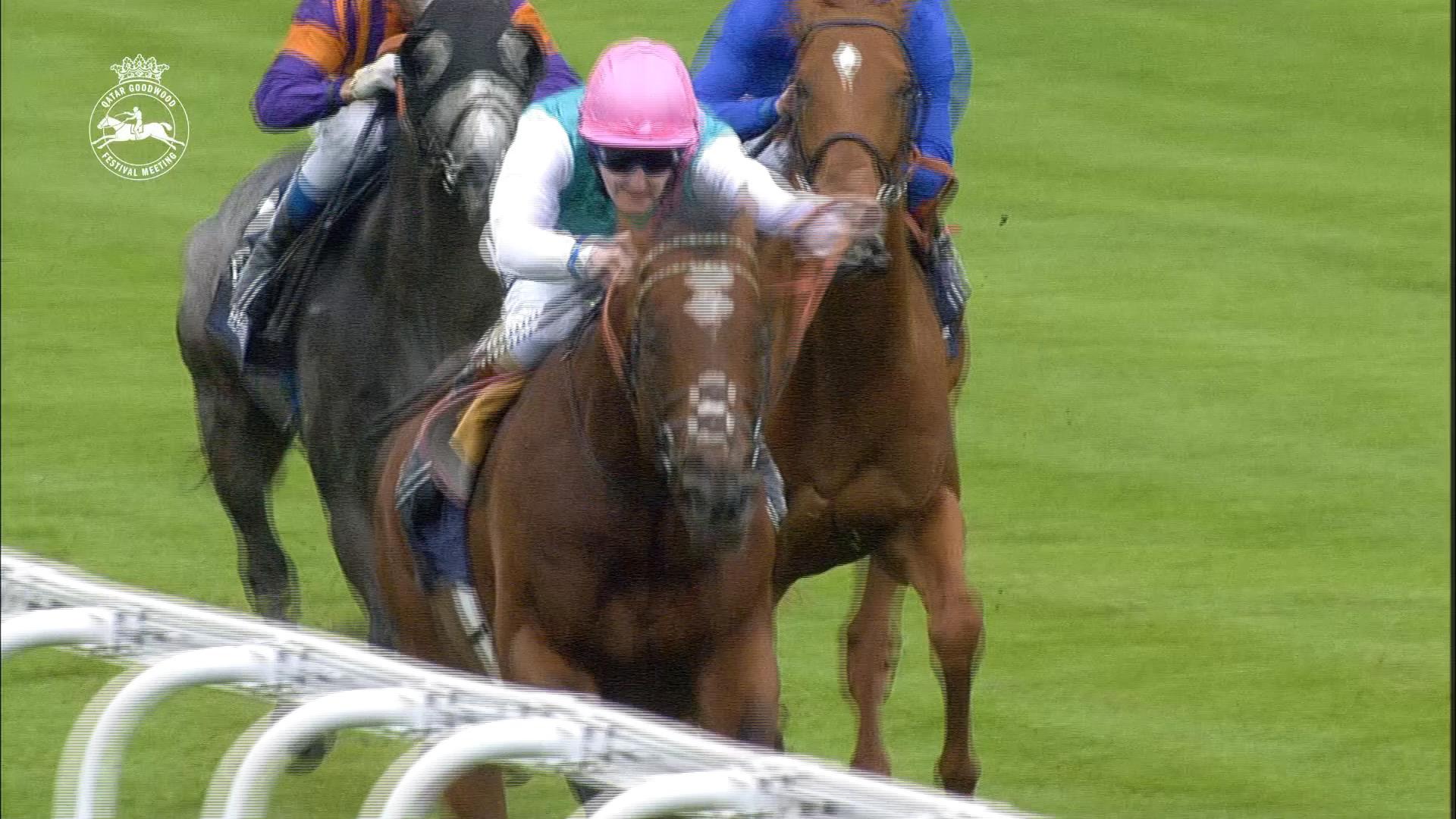 HPIbet.com - Welcome