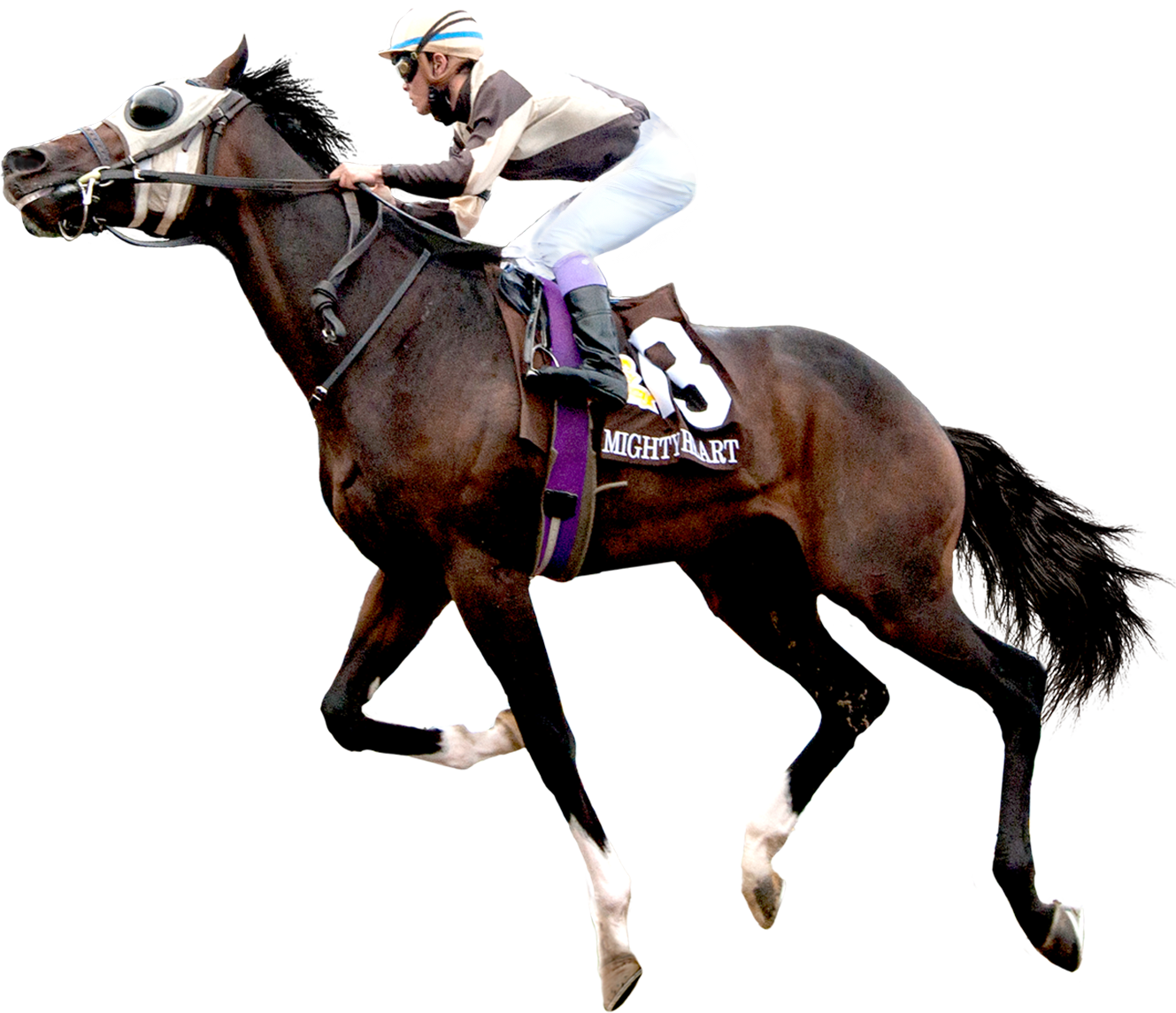 HPIbet.com - Welcome